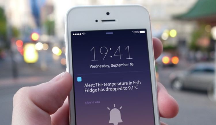 Temperature Alert System