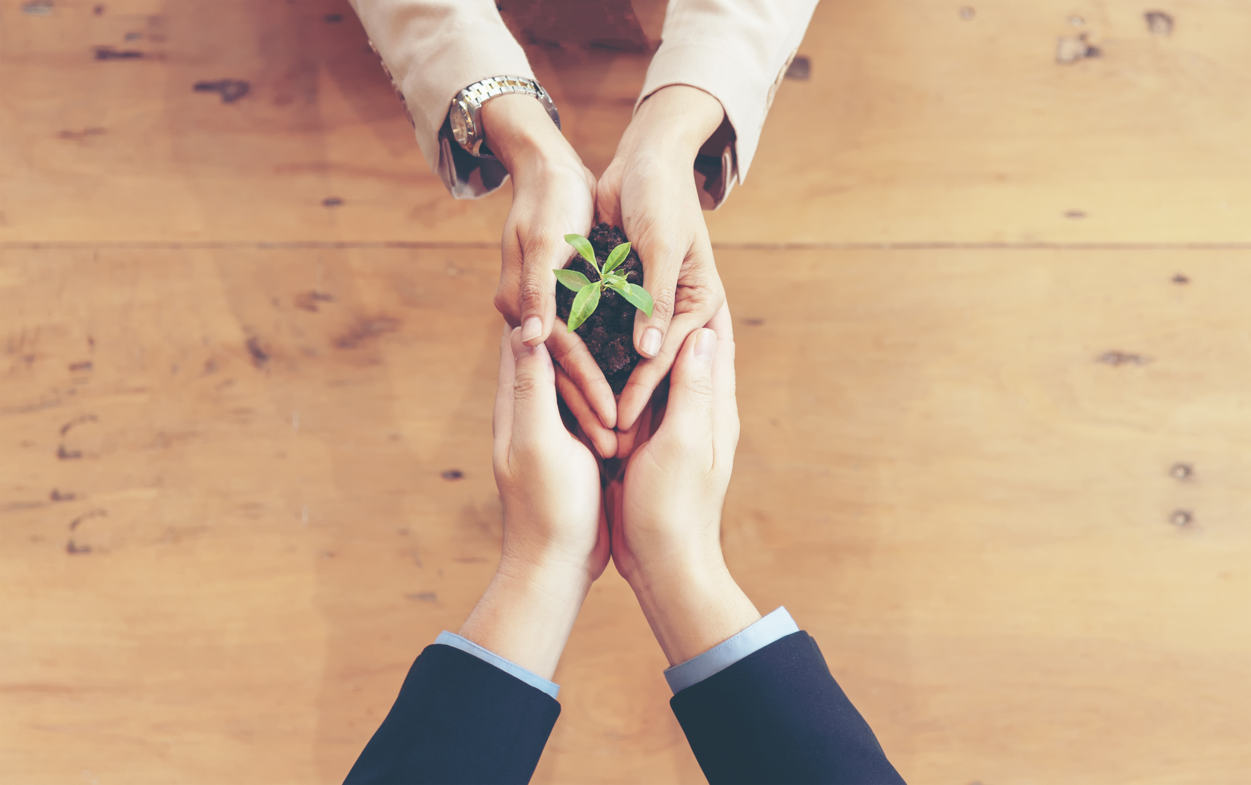 Stepping out of business isolation | ANT Telecom